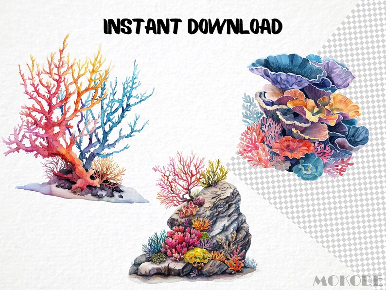 Watercolor Coral Reef Clipart 65 Png, Tropical Ocean, Summer Png ...