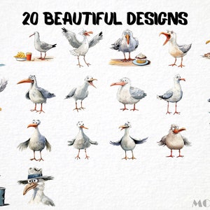 Funny Seagulls Clipart 20 Png, Goofy Seagull Birds, Silly Gulls ...