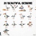 Funny Seagulls Clipart 20 Png, Goofy Seagull Birds, Silly Gulls ...