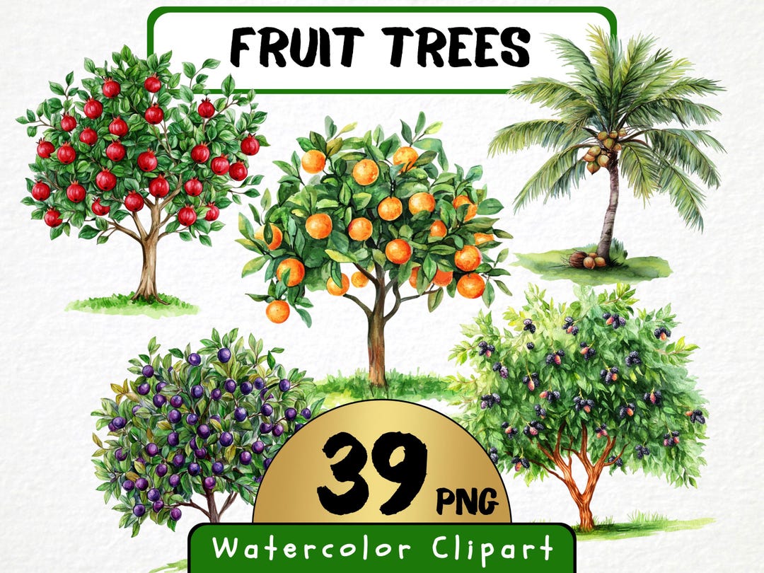 Fruit Trees Clipart 39 Png, Watercolor Summer Fruits Garden, Home Grown Apple Tree Instant ...