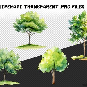 Watercolor Summer Tree Clipart 12 Png, Green Tree Graphics, Garden ...