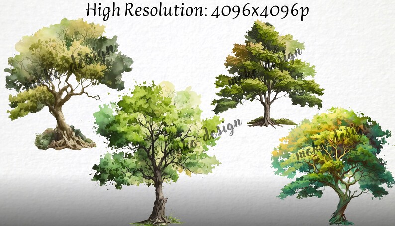 15 Watercolor Summer Tree of Life Clipart PNG Colorful Tree - Etsy