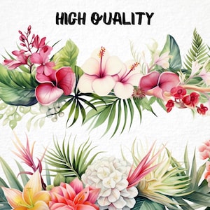 Watercolor Hawaii Borders 18 Png Clipart Bundle, DIY Exotic Graphic ...