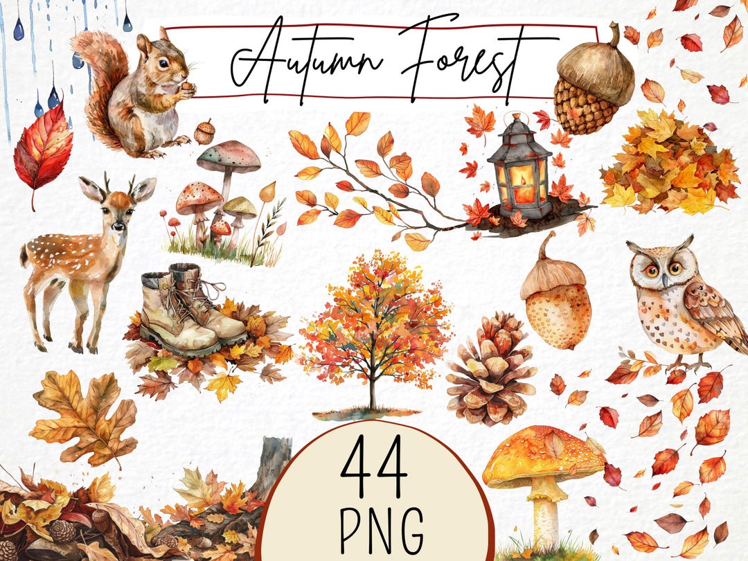 Watercolor Autumn Forest Clipart 44 Png, Fall Season Crafting, Woodland ...