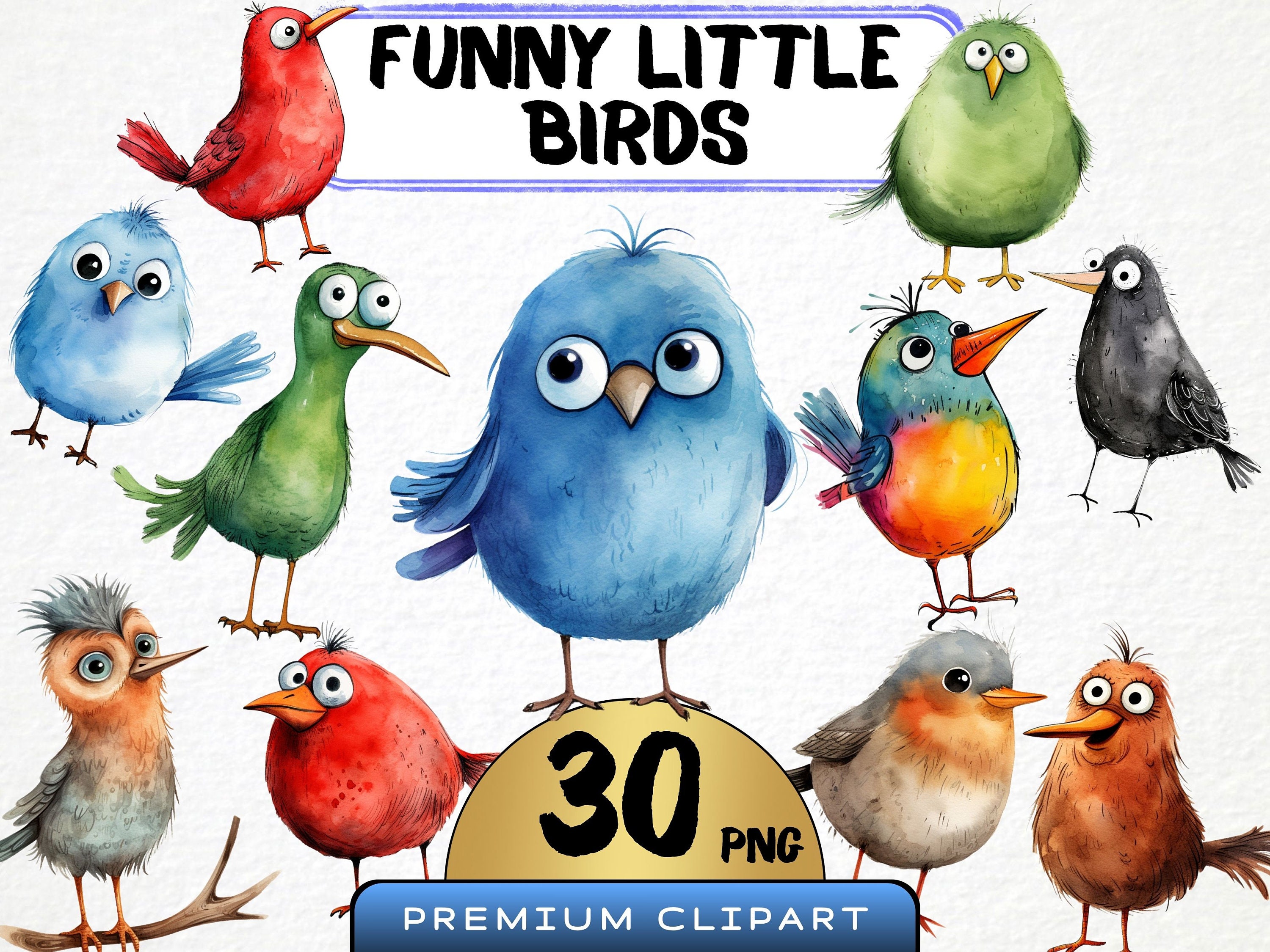 Funny Little Birds Clipart 30 Png, Cute Caricature Birds, Quirky Bird ...