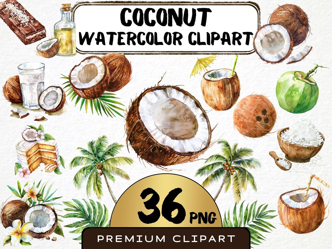 Watercolor Coconut Clipart 36 Png, Coconut Flakes, Palm Tree, Coconut ...