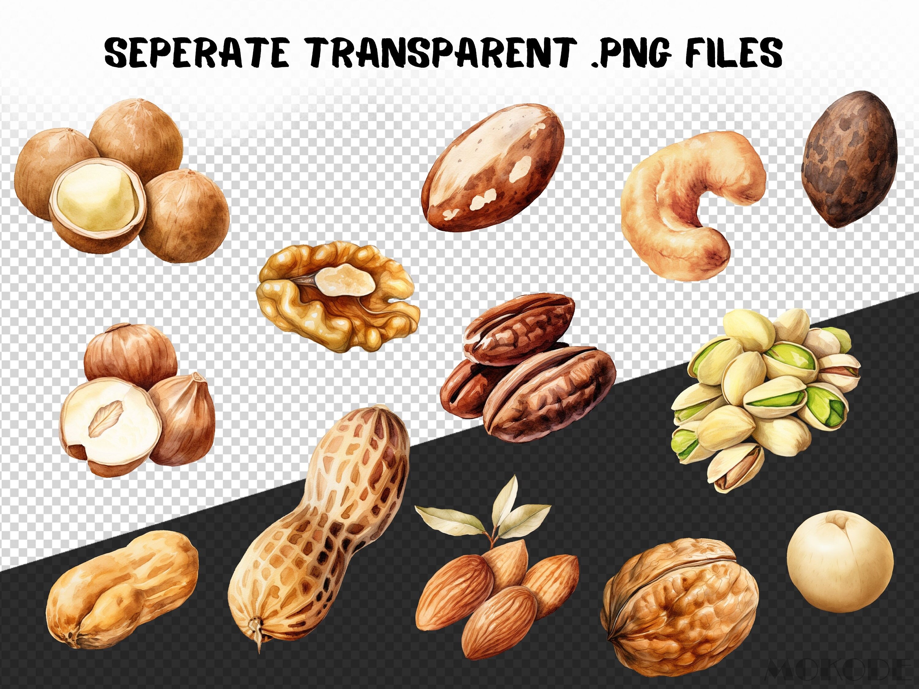 Watercolor Nuts Clipart, 30 Png, Peanut Graphics, Walnut, Hazelnut ...
