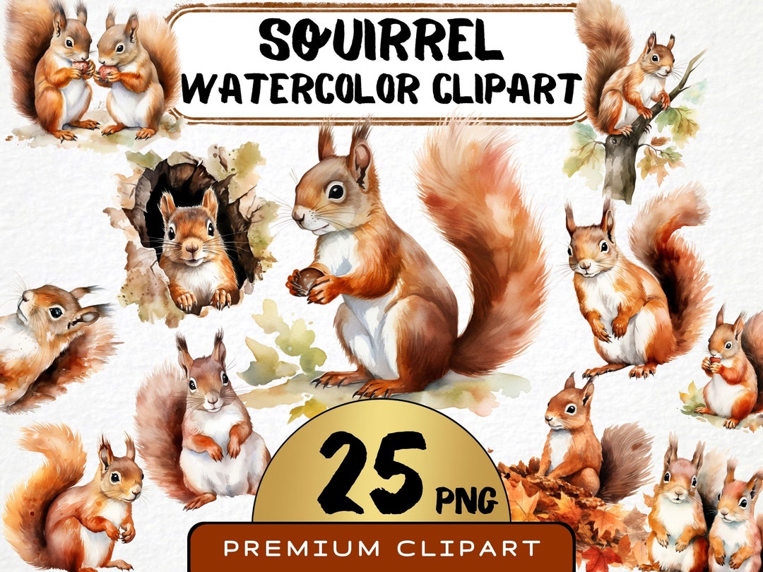 Watercolor Squirrel Clipart 25 Png, Woodland Animal, Autumn Squirrel ...