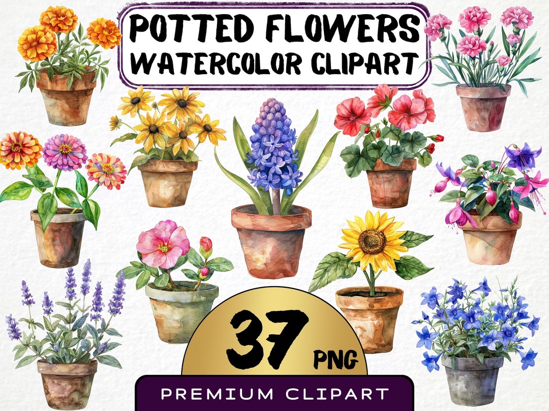 Watercolor Potted Flowers Clipart, Houseplant PNG Set (digital Download ...