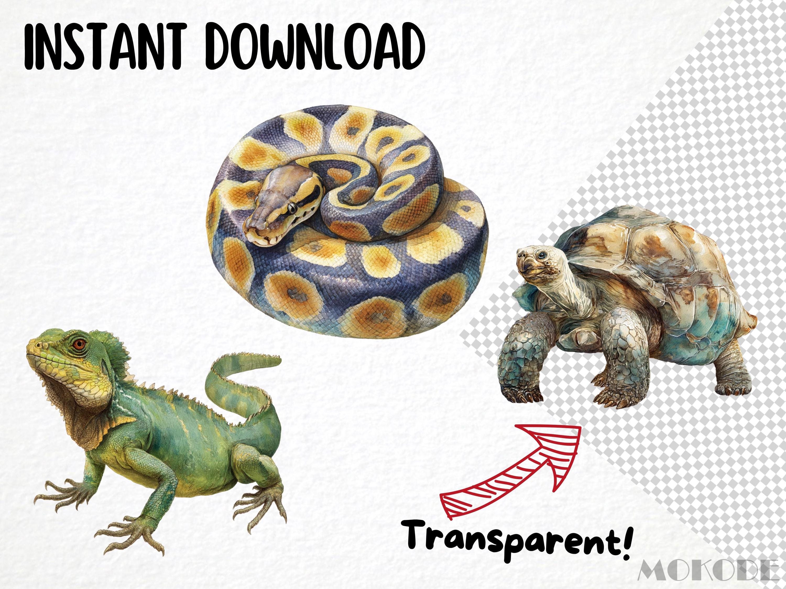 Watercolor Reptiles Clipart, Desert Animals Illustration (50 PNG) - Etsy