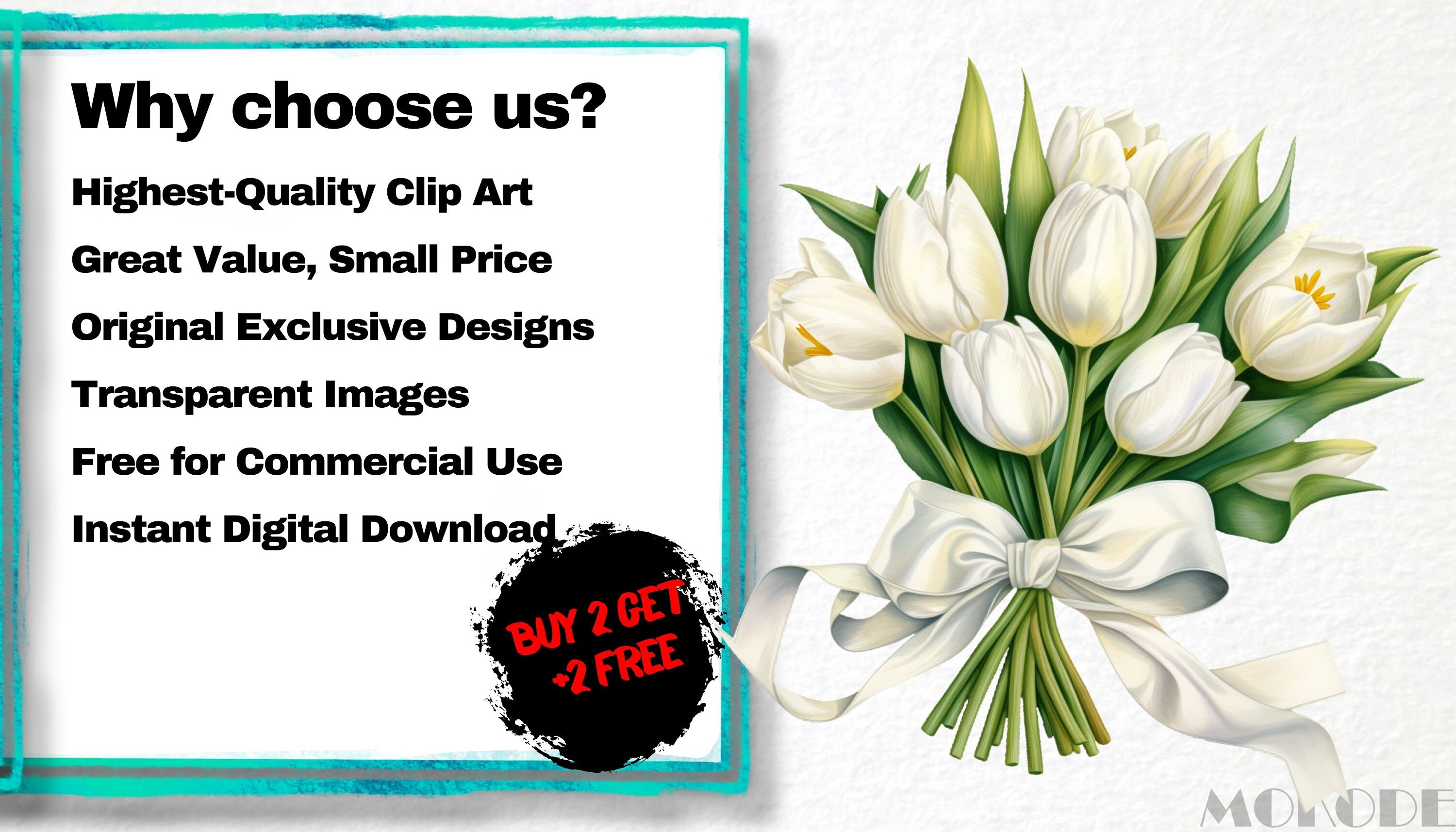White Tulip Clipart, Set of 22, Watercolor Tulip Png, Botanical Art ...