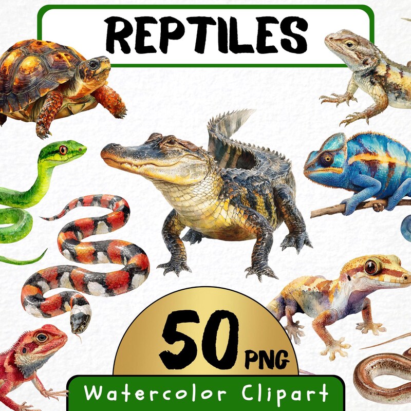 Reptile Cartoons - Etsy