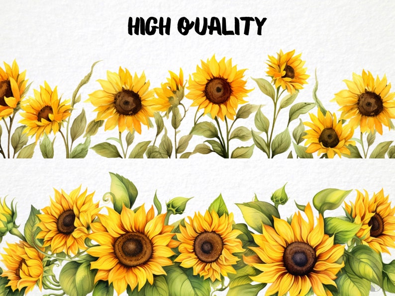 Watercolor Sunflower Border Clipart Bundle, Floral Scrapbooking (14 PNG ...