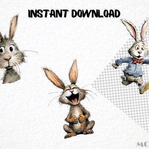 Funny Bunny Clipart 20 Png, Cute Caricature Pets, Quirky Rabbit ...