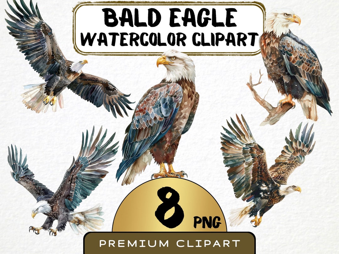 Watercolor Bald Eagle Clipart 8 Png, Eagle Bird, Wildlife Art, Cute ...