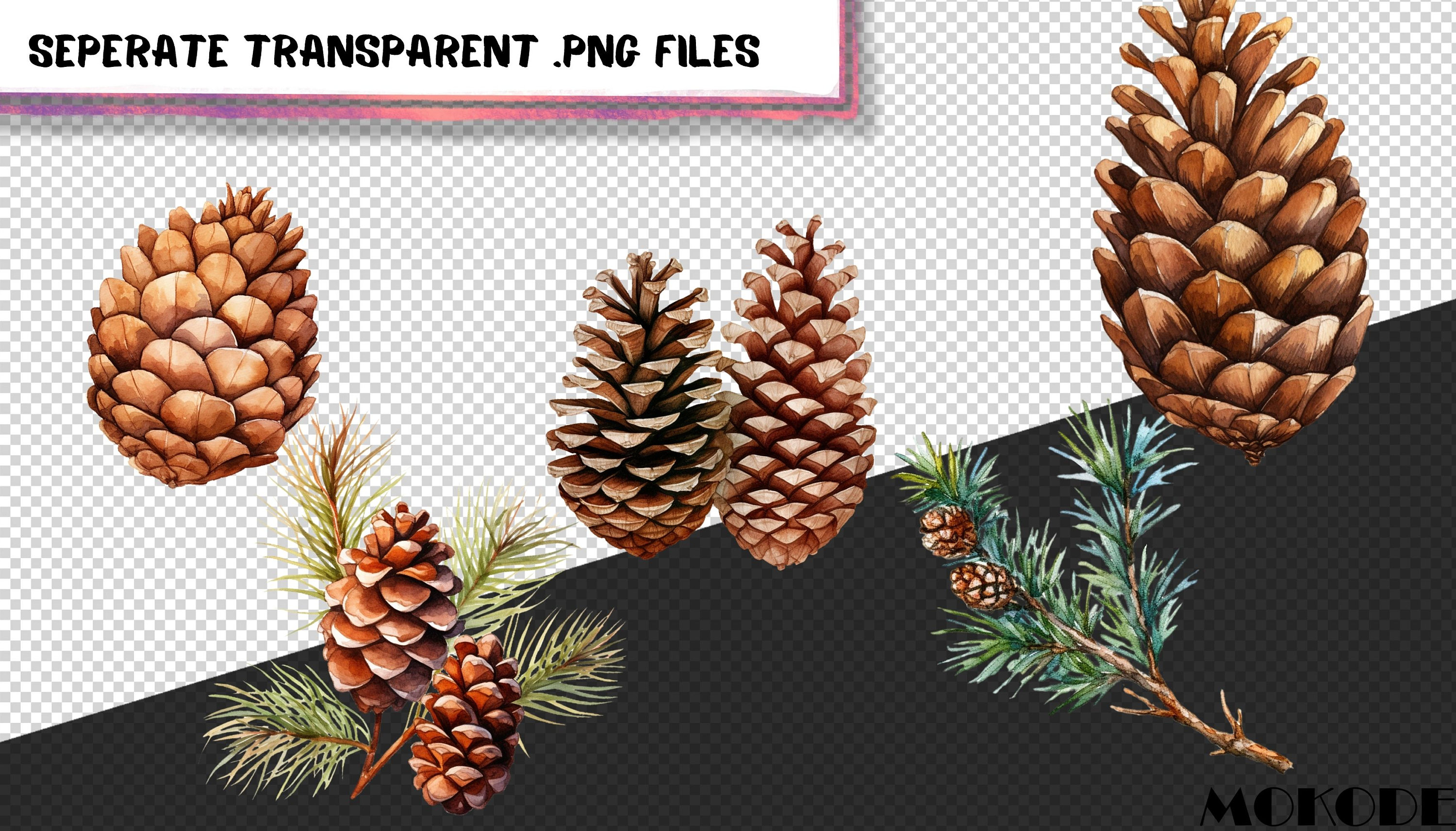 Watercolor Pine Cone Clipart, Set of 27, Christmas Decoration Clipart ...
