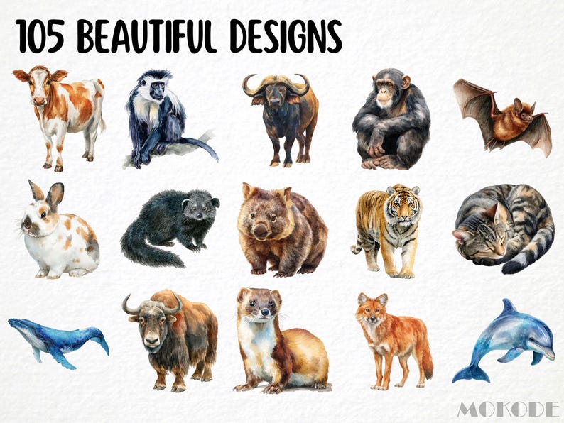 Watercolor Mammals Clipart 105 Png, Zoo Animals, Educational Africa ...