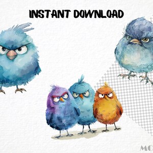 Grumpy Birds Clipart 14 Png, Cute Caricature Birds, Funny Animal ...