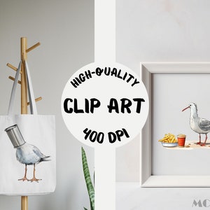 Funny Seagulls Clipart 20 Png, Goofy Seagull Birds, Silly Gulls ...