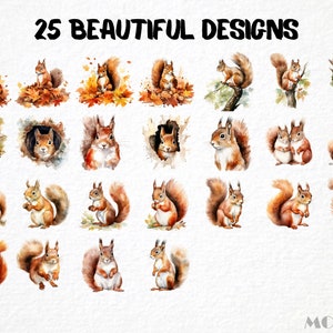 Watercolor Squirrel Clipart 25 Png, Woodland Animal, Autumn Squirrel ...