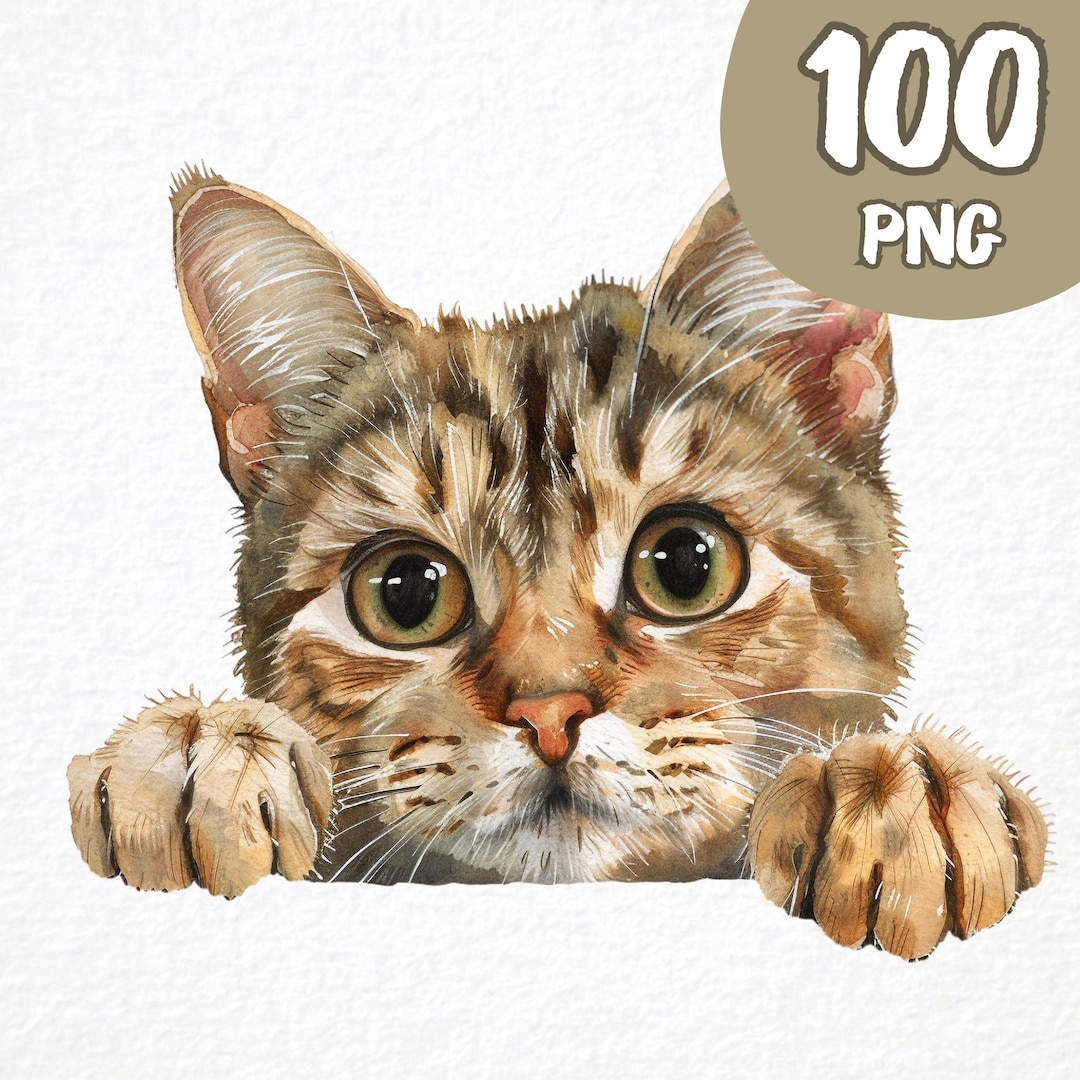 Watercolor Peeking Cat Breeds Clipart Bundle, 100 PNG (digital Art) - Etsy