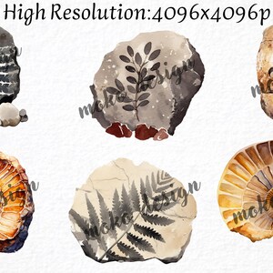 Watercolor Fossils Clip Art Archeology - Paleontology Dinosaur ...