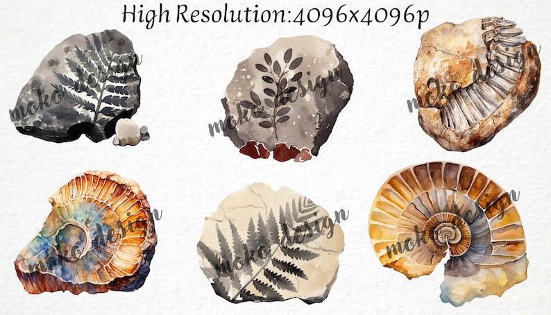 Watercolor Fossils Clip Art Archeology Paleontology Dinosaur ...
