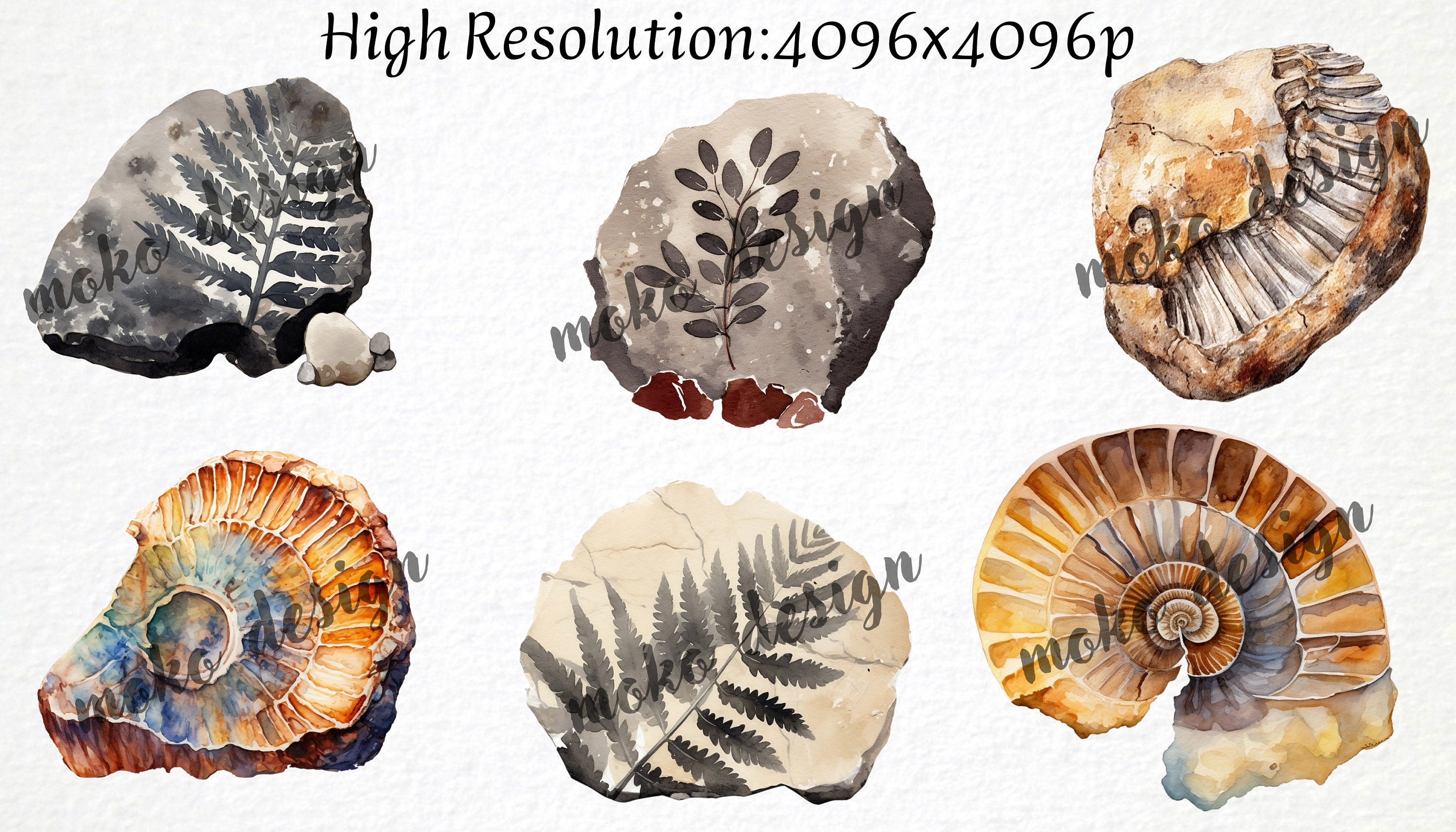 Watercolor Fossils Clip Art Archeology Paleontology Dinosaur ...