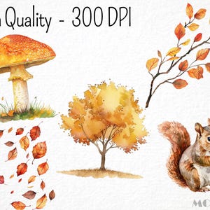 Watercolor Autumn Forest Clipart, Fall Animals, Leaves (44 PNG) - Etsy