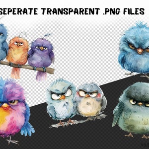 Grumpy Birds Clipart 14 Png, Cute Caricature Birds, Funny Animal ...