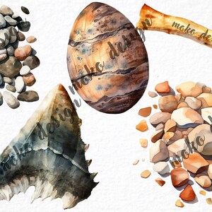 Watercolor Fossils Clip Art Archeology - Paleontology Dinosaur ...