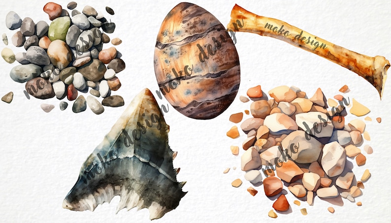 Watercolor Fossils Clip Art Archeology Paleontology Dinosaur - Etsy