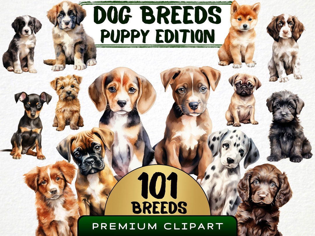 Puppy Breed Clipart Bundle 101 Png, Watercolor Baby Dog, Popular Pet ...