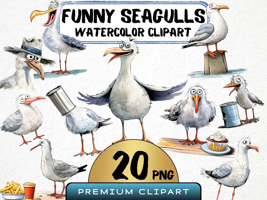 Funny Seagulls Clipart 20 Png, Goofy Seagull Birds, Silly Gulls ...
