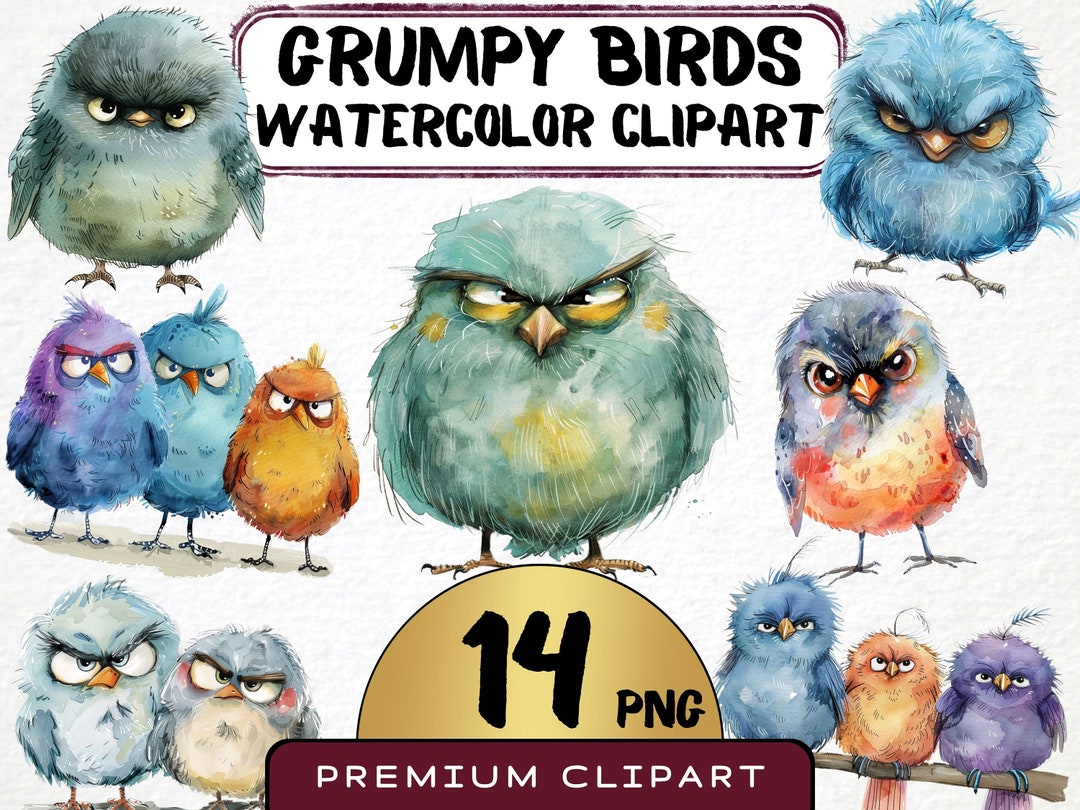 Grumpy Birds Clipart 14 Png, Cute Caricature Birds, Funny Animal ...