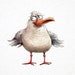 Funny Seagull Watercolor Clipart, Goofy Birds, Silly Gulls (digital ...