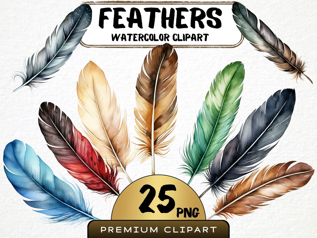 Watercolor Feather Clipart, 25 Png, Colorful Bird Feathers, Feather ...