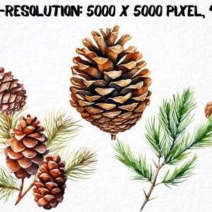 Watercolor Pine Cone Clipart, Set of 27, Christmas Decoration Clipart ...