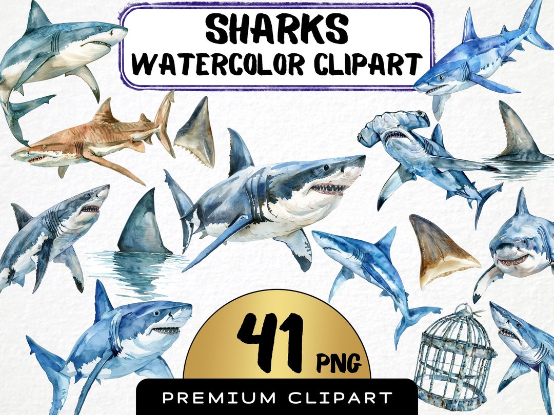 Watercolor Sharks Clipart 41 Png, Marine Life, Shark Cage, Shark ...