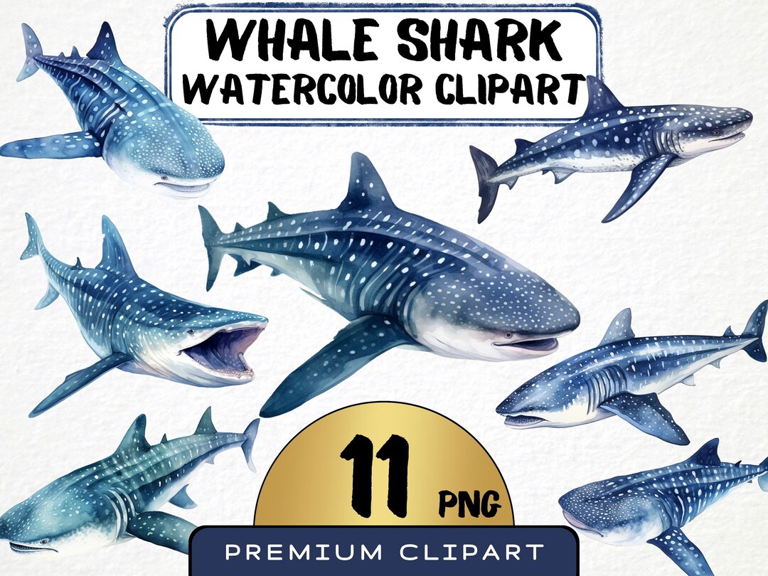 Watercolor Whale Shark Clipart 11 Png, Big Ocean Animals, Marine Life ...