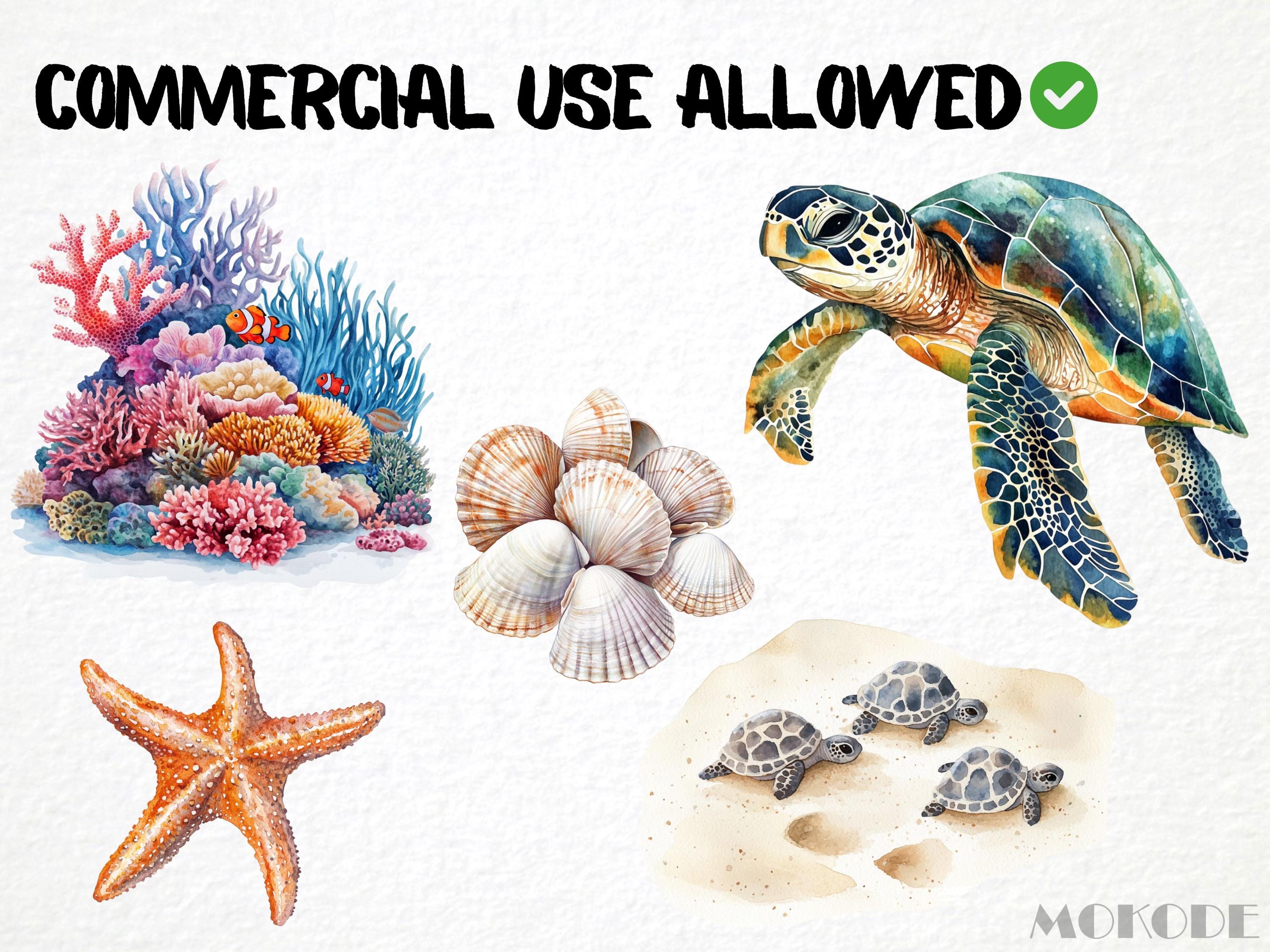 Watercolor Beach Nature Clipart 61 Png, Tropical Ocean, Summer Png ...