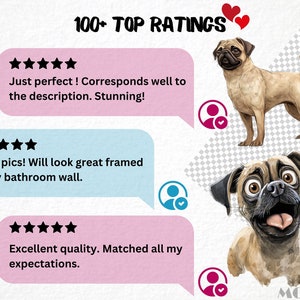 Funny Pug Dog Clipart 23 Png, Cute Caricature Pets, Puppies Watercolor ...