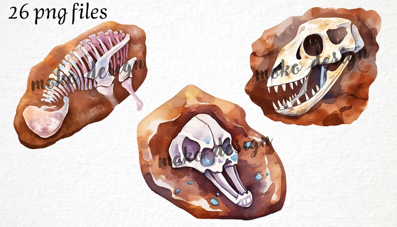 Watercolor Fossils Clip Art Archeology Paleontology Dinosaur ...