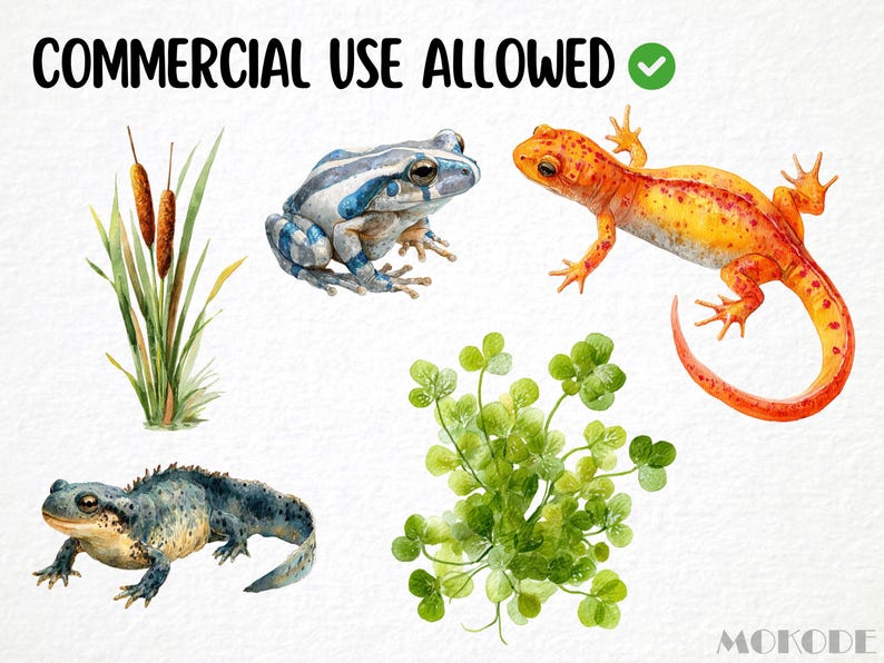 Watercolor Amphibians Clipart, Frog, Axolotl, Lily Pad (50 PNG ...