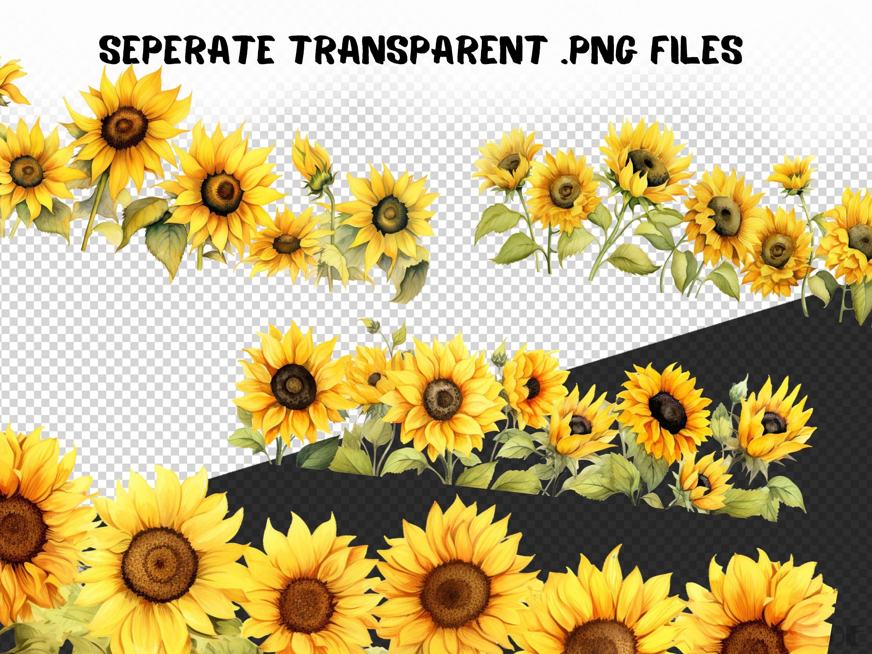 Sunflower Border Clip Art