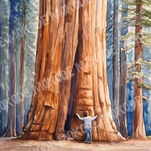 10 High Quality Watercolor Redwood Trees Designs Png,california Redwood ...