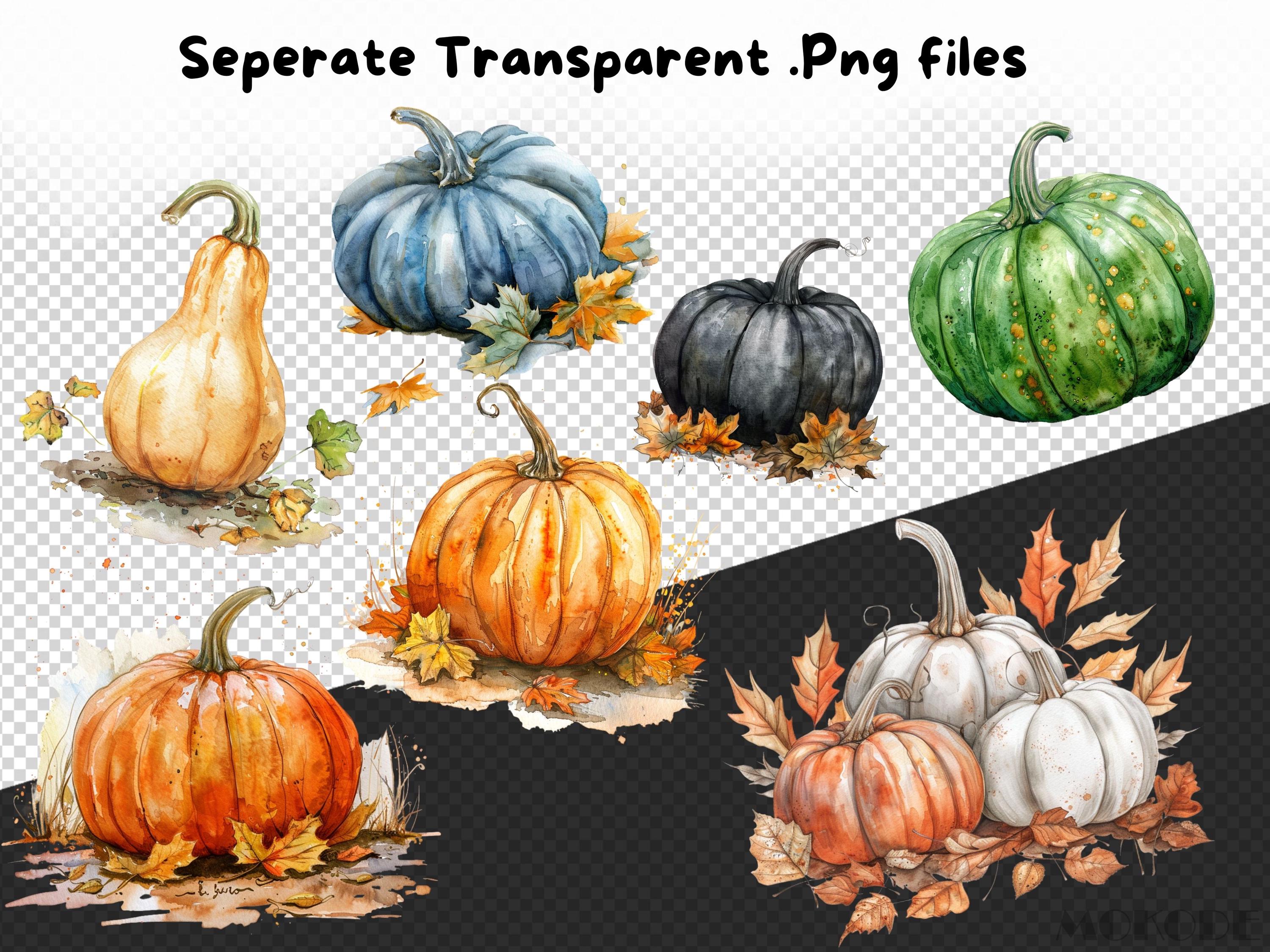 Watercolor Autumn Pumpkin Clipart 35 Png, Halloween Pumpkins Fall Theme ...