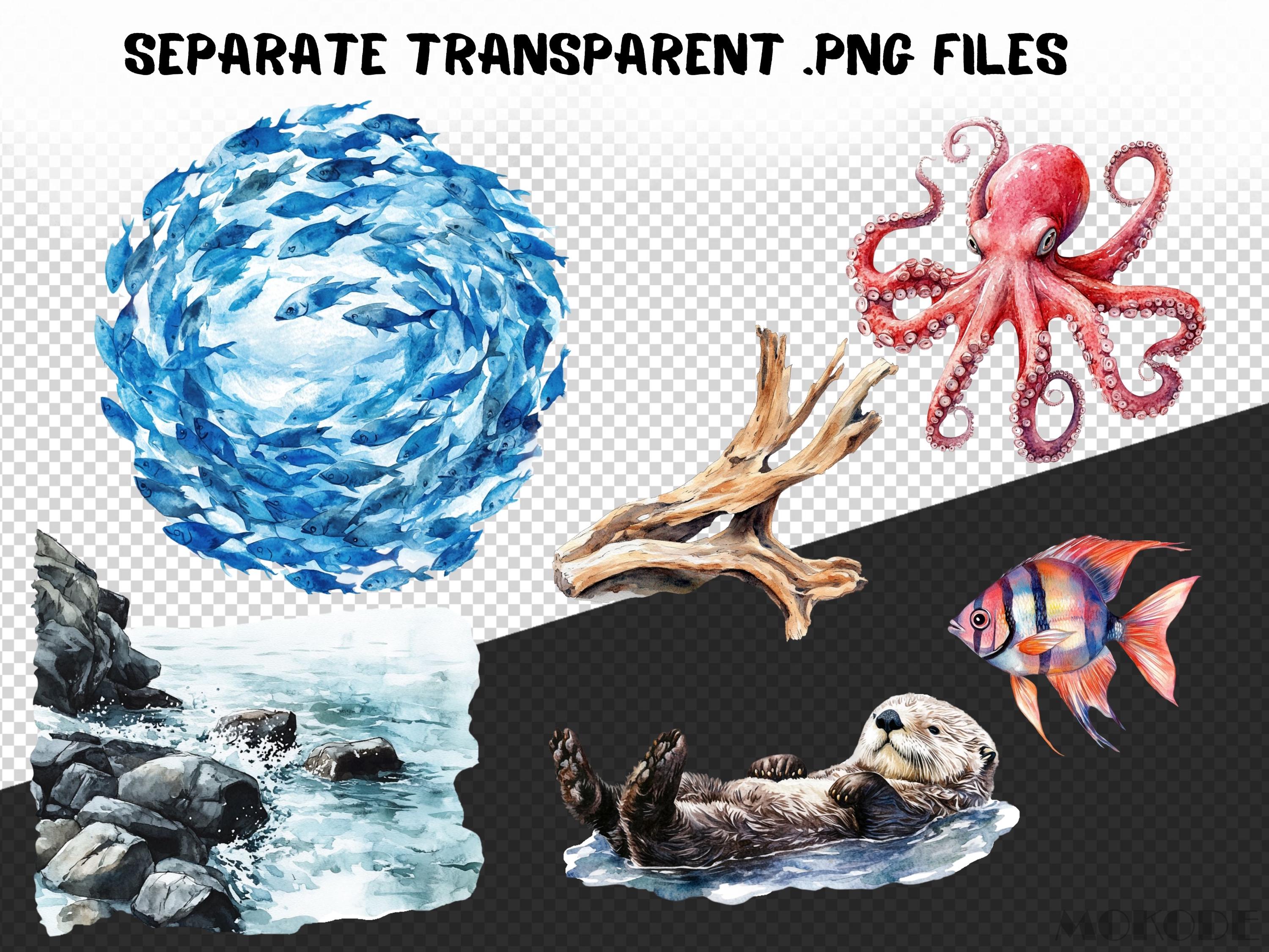 Watercolor Beach Nature Clipart 61 Png, Tropical Ocean, Summer Png ...