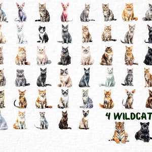 Cat Breed Clipart, Set of 101, Watercolor Cat Png, Popular Cat Breed ...