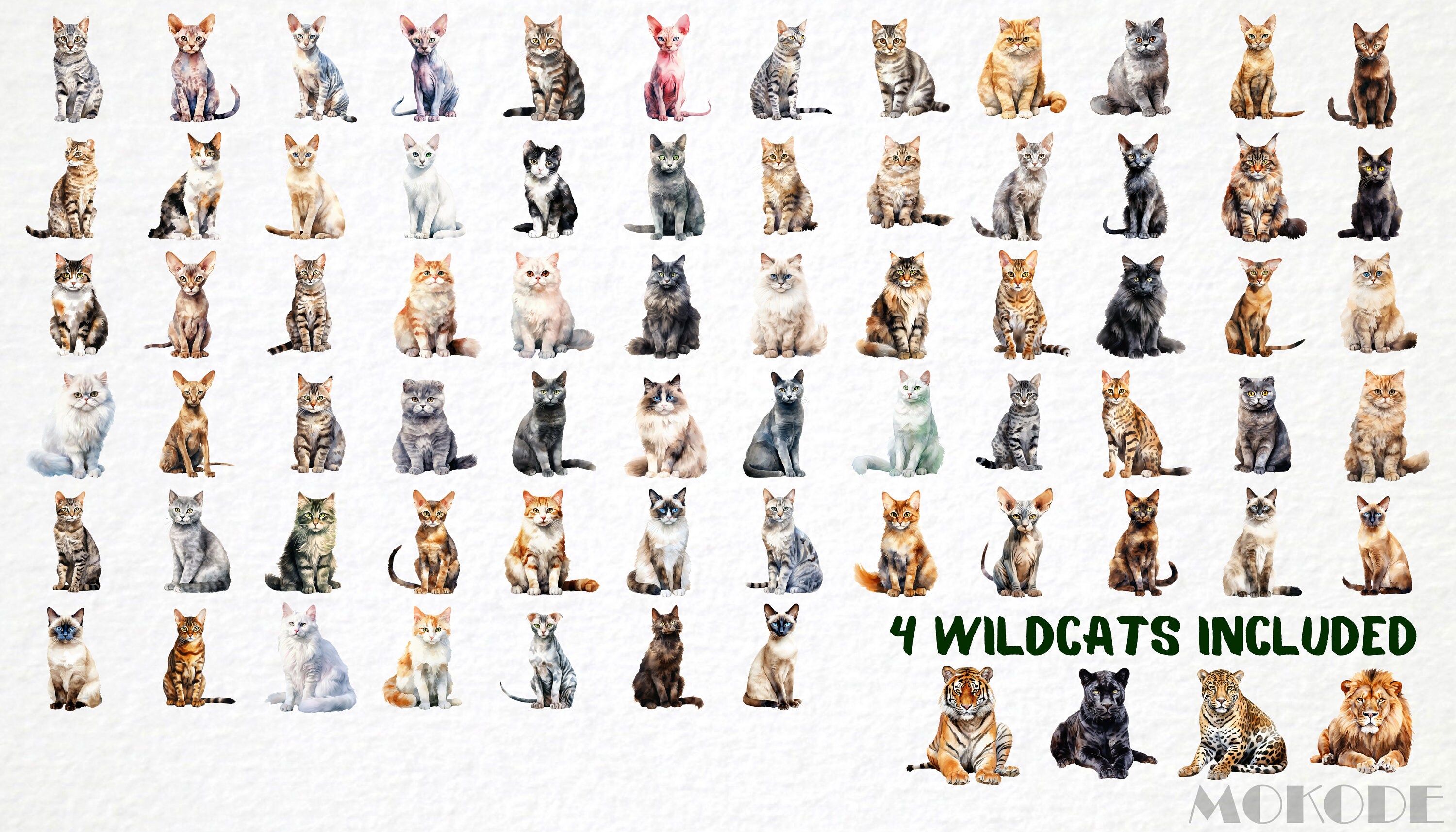 Cat Breed Clipart Set of 101 Watercolor Cat Png Popular Cat - Etsy ...